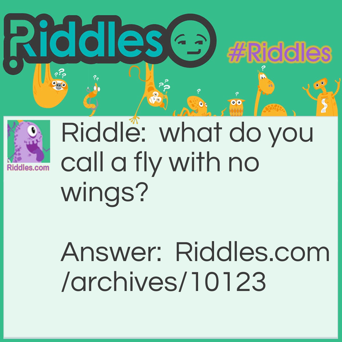 Fly - Riddles.com