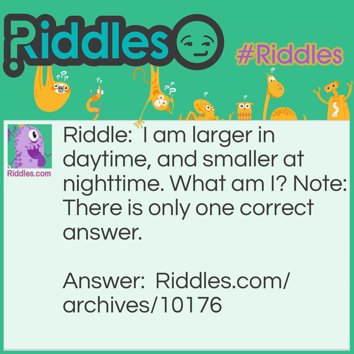 Cat Riddle | Riddles.com