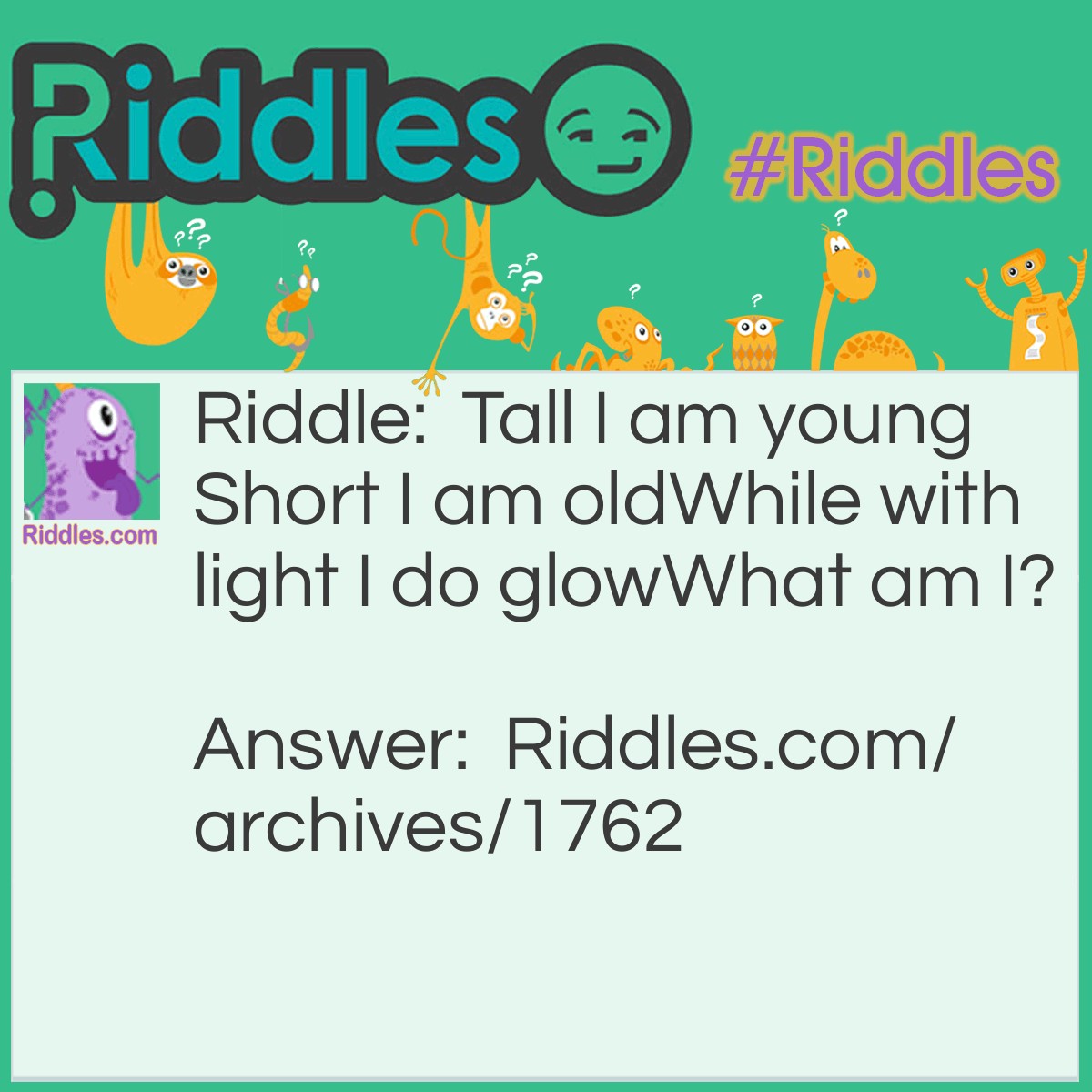 Guess What I Am | Riddles.com