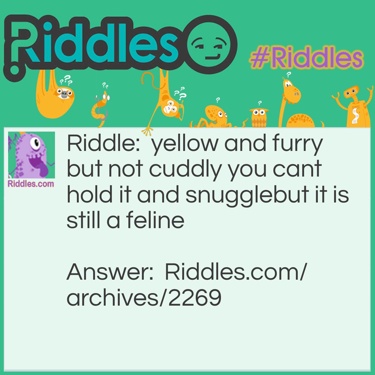 Jungle | Riddles.com