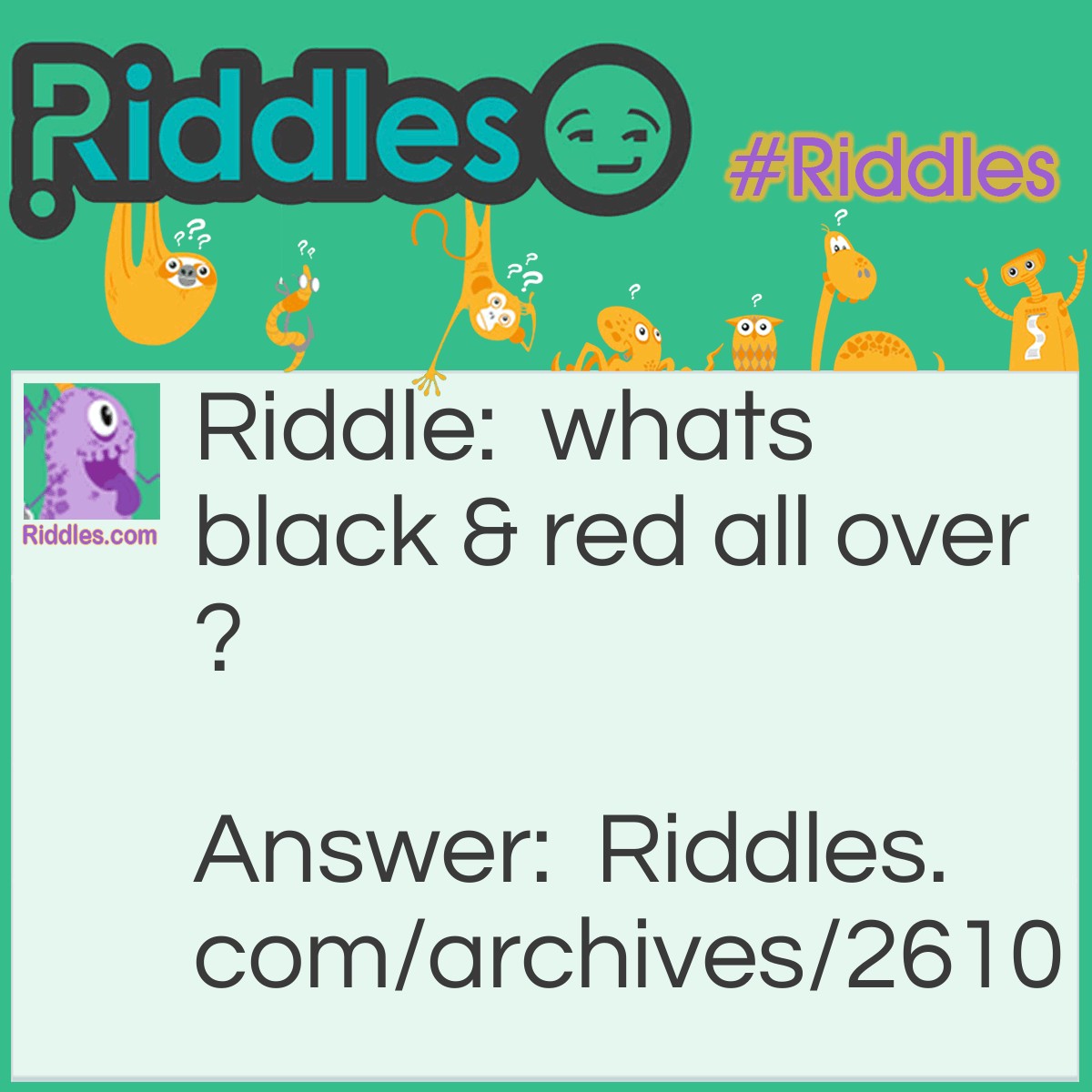 Black & Red - Riddles.com