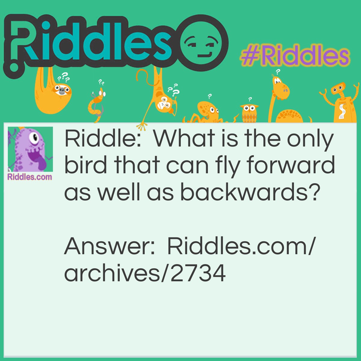 Bird | Riddles.com