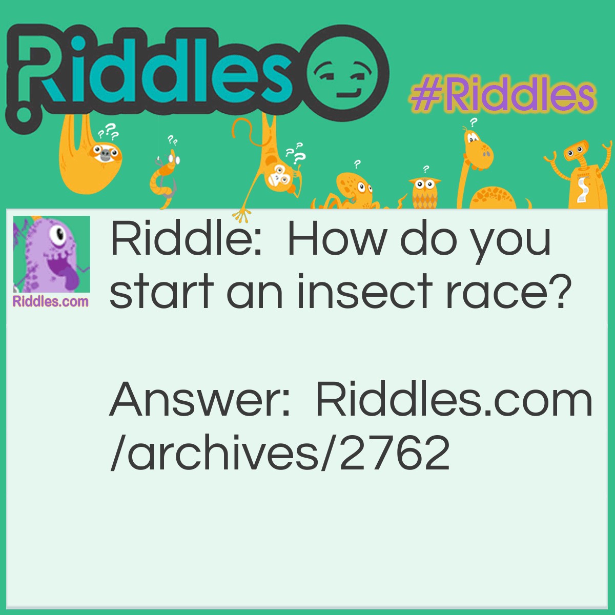 Insect Race - Riddles.com