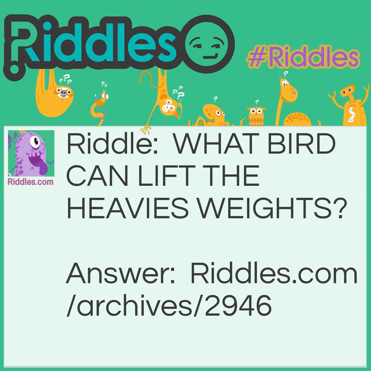 DRIB (BIRD) | Riddles.com