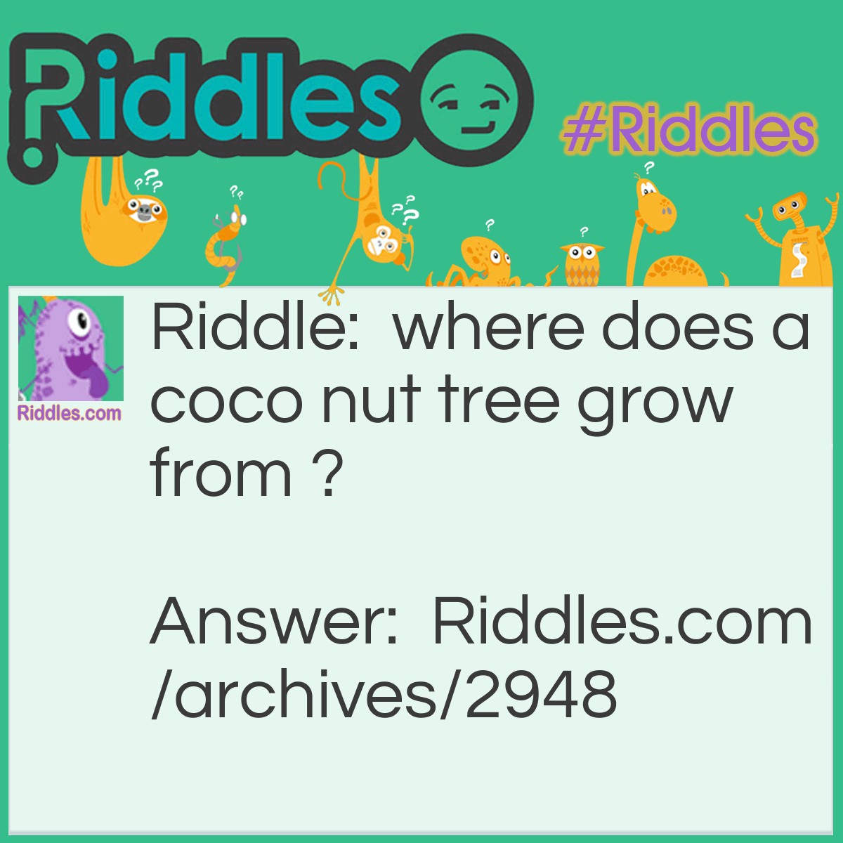 The Coco Nut Tree - Riddles.com