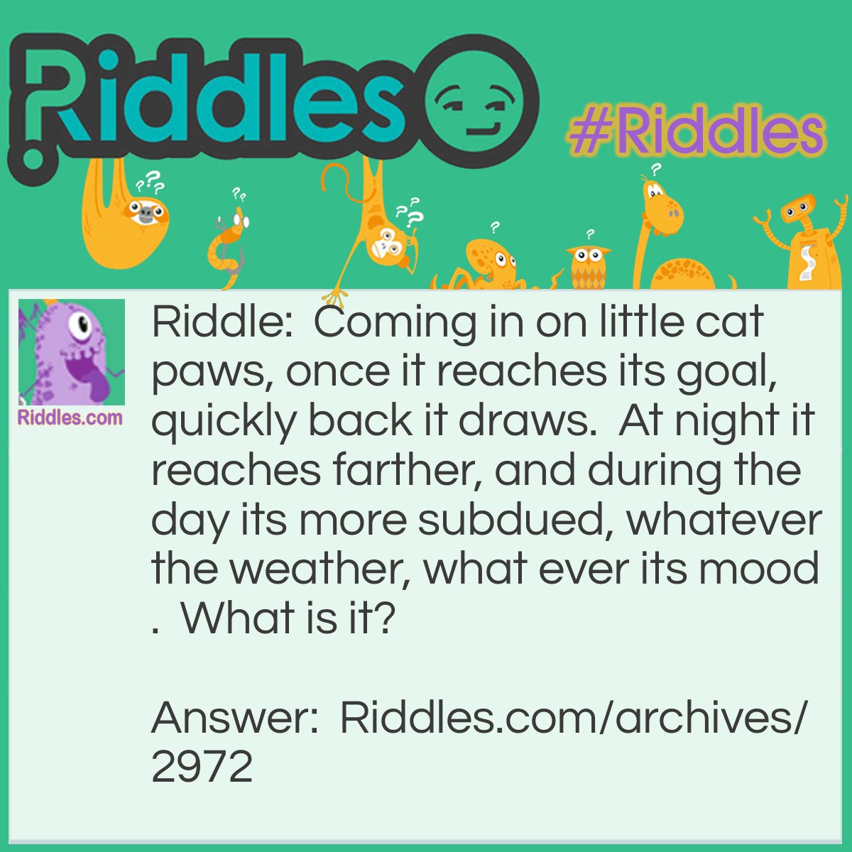 Cat Paws - Riddles.com