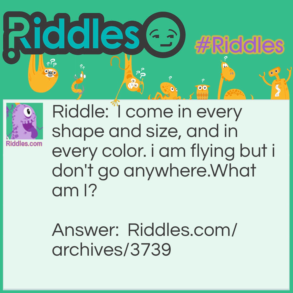 What Is It - Riddles.com