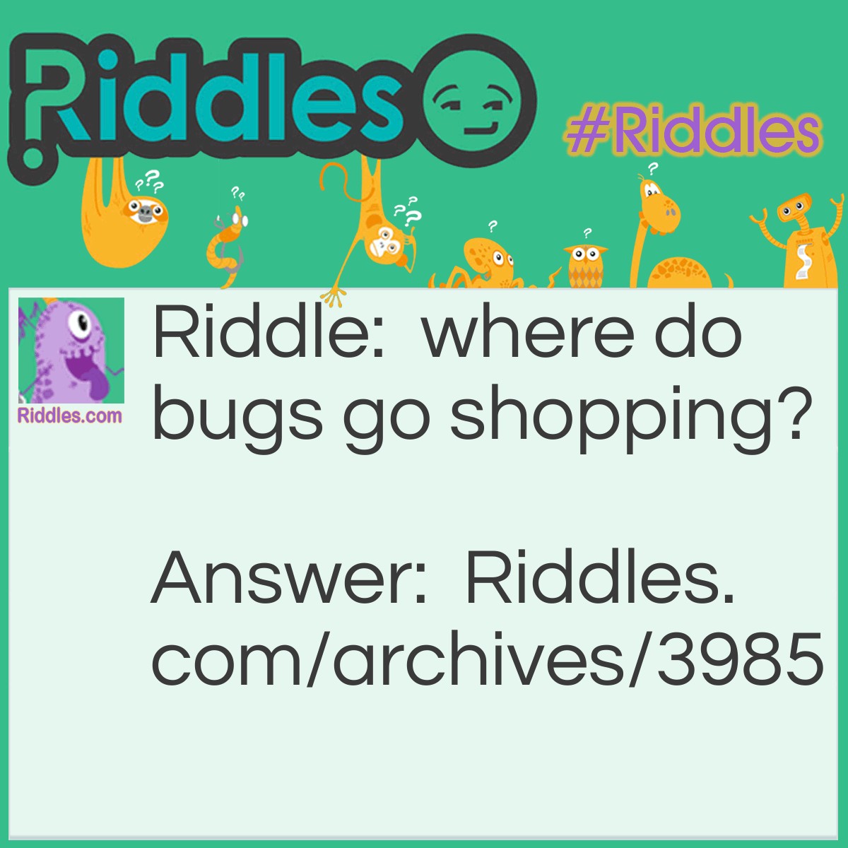 Bugs - Riddles.com