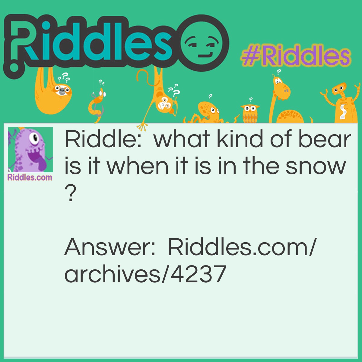 Bears - Riddles.com