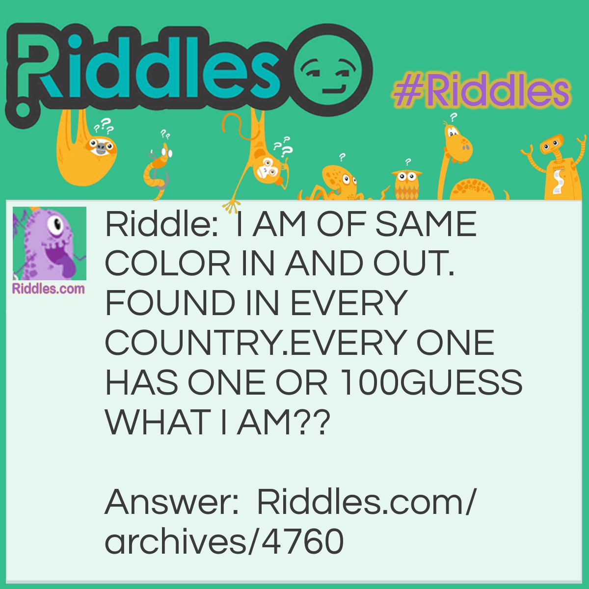 GUESS WHAT I AM?? - Riddles.com