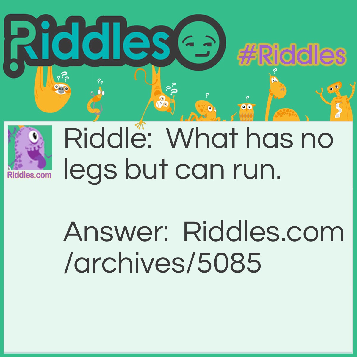 Invisible Legs | Riddles.com