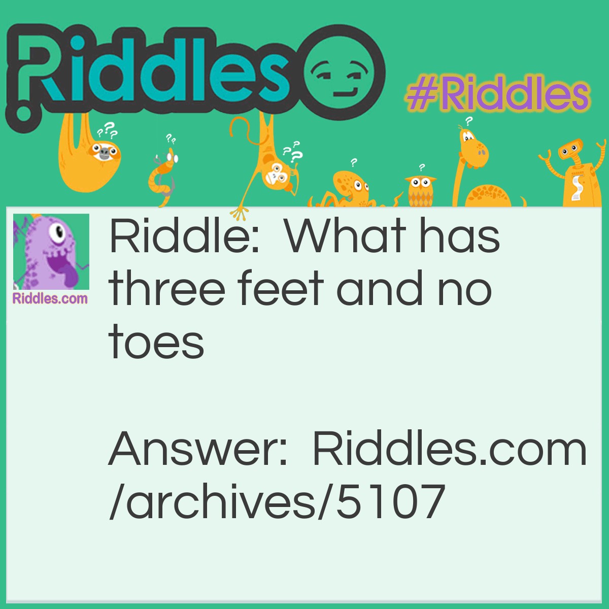 Feet - Riddles.com