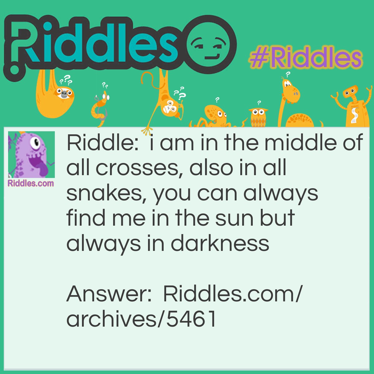 What Is This - Riddles.com