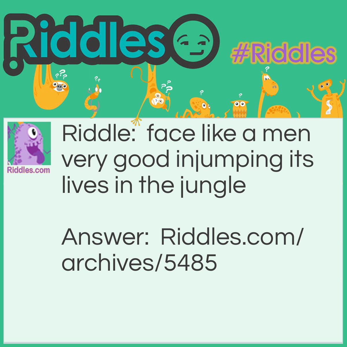 Jungle - Riddles.com
