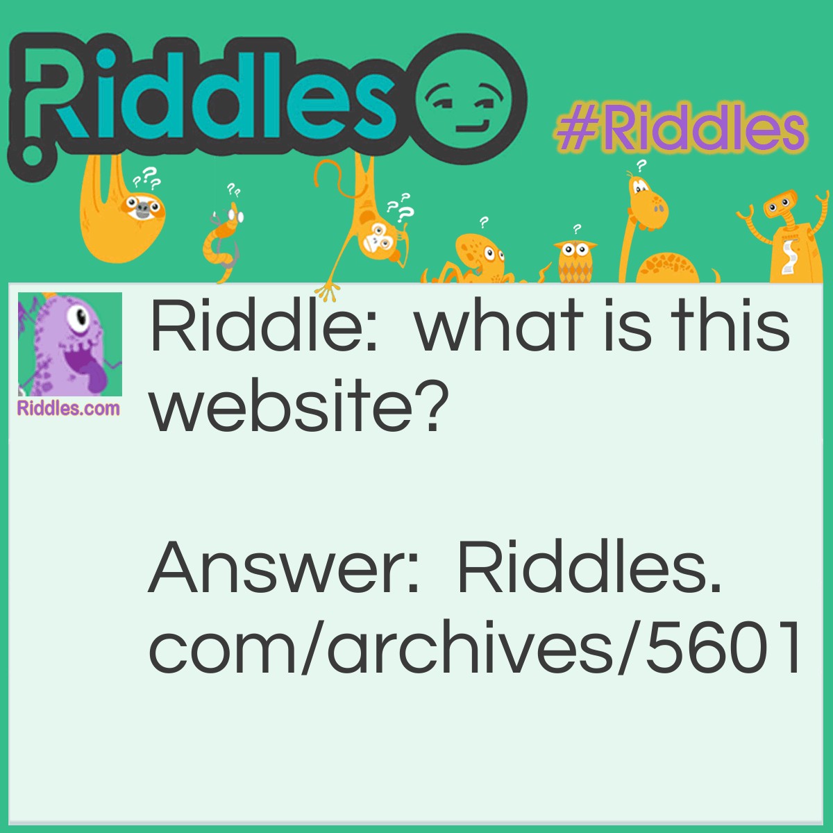 Whats This Website? - Riddles.com