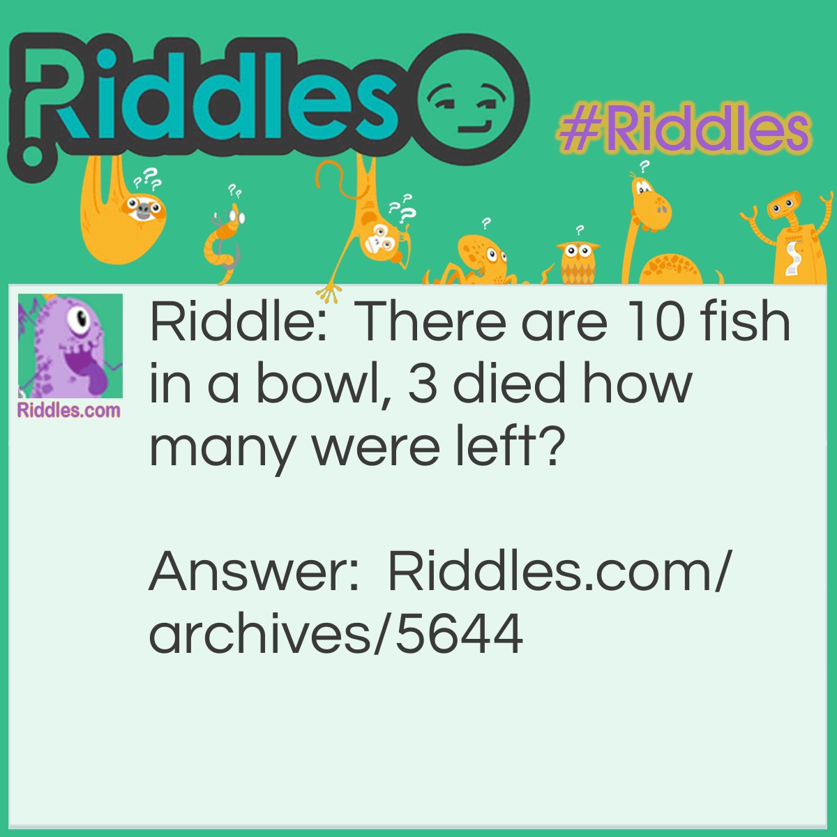 Minus & Plus - Riddles.com