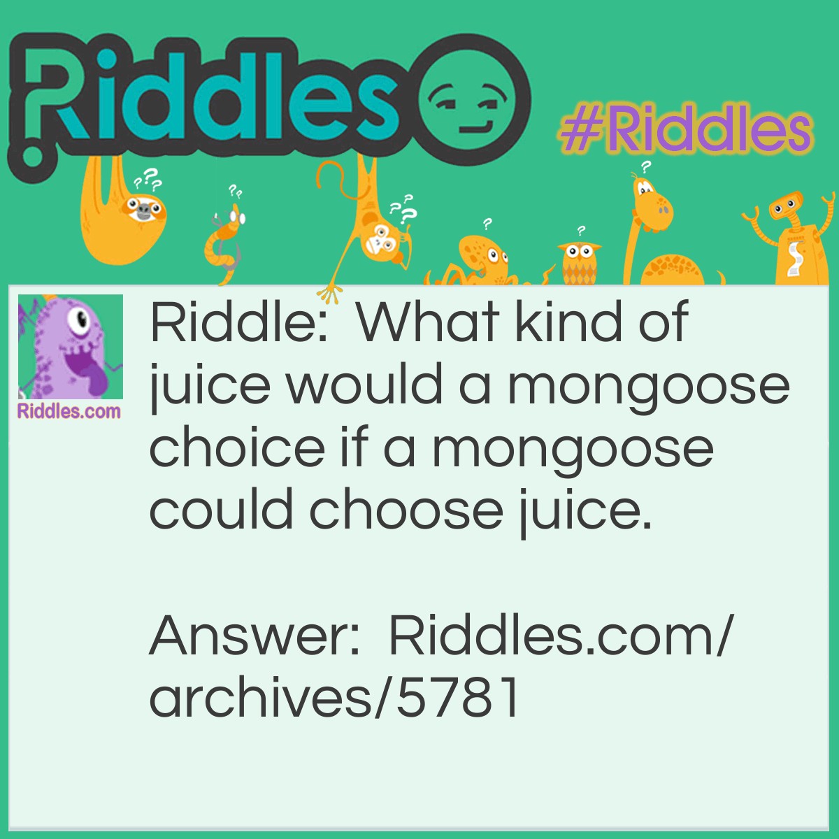 Mongoose - Riddles.com