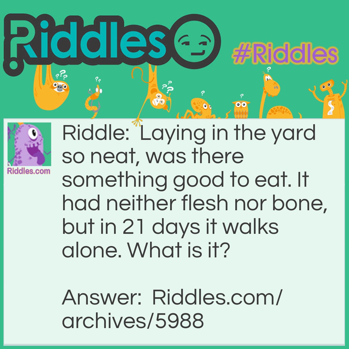 What Is It?? | Riddles.com