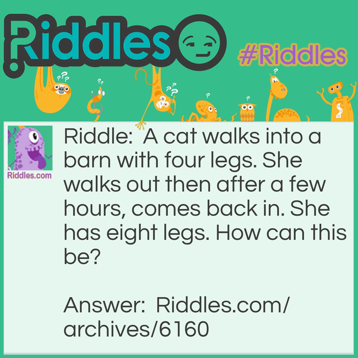The Cat With Eight Legs - Riddles.com