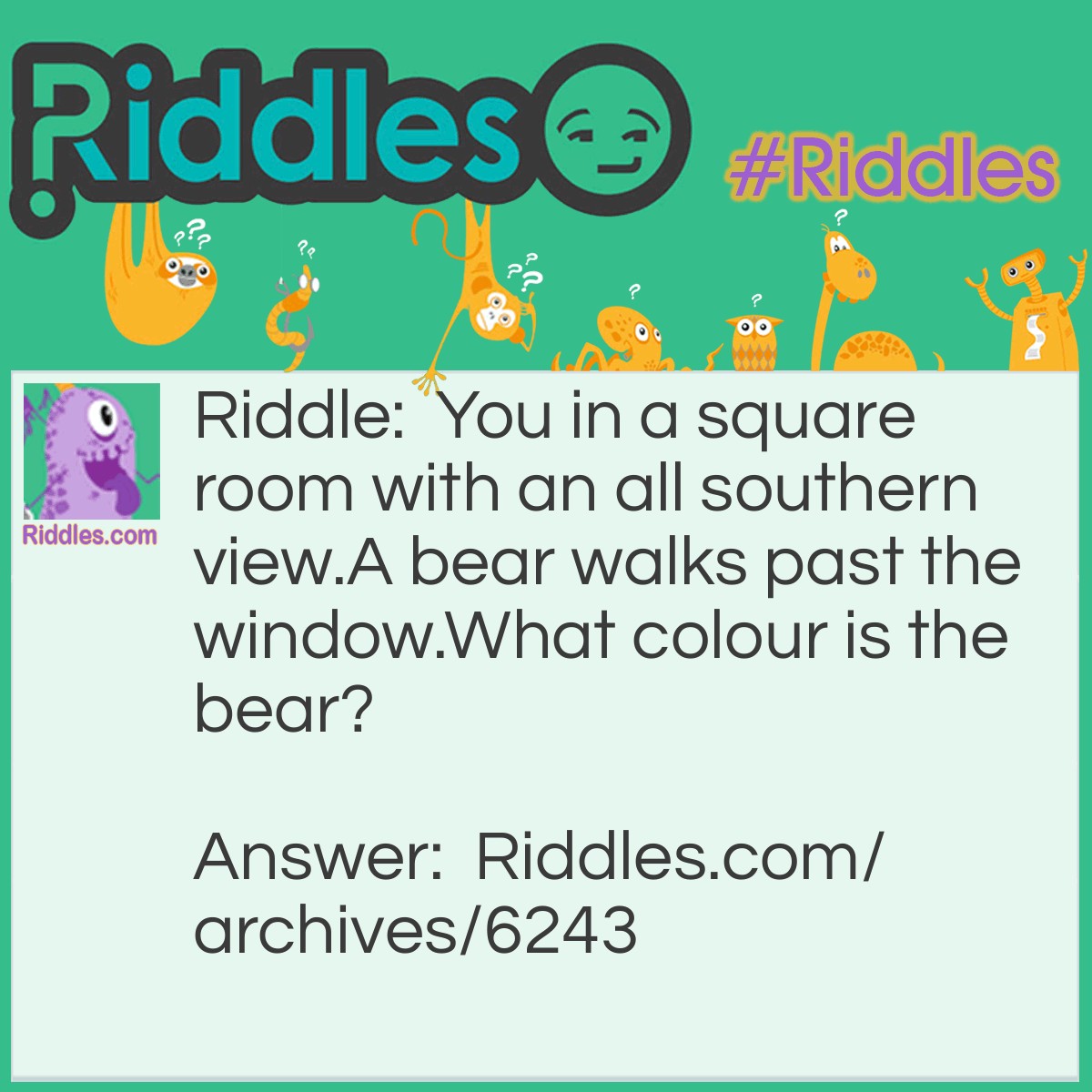 The Mysterious Bear - Riddles.com