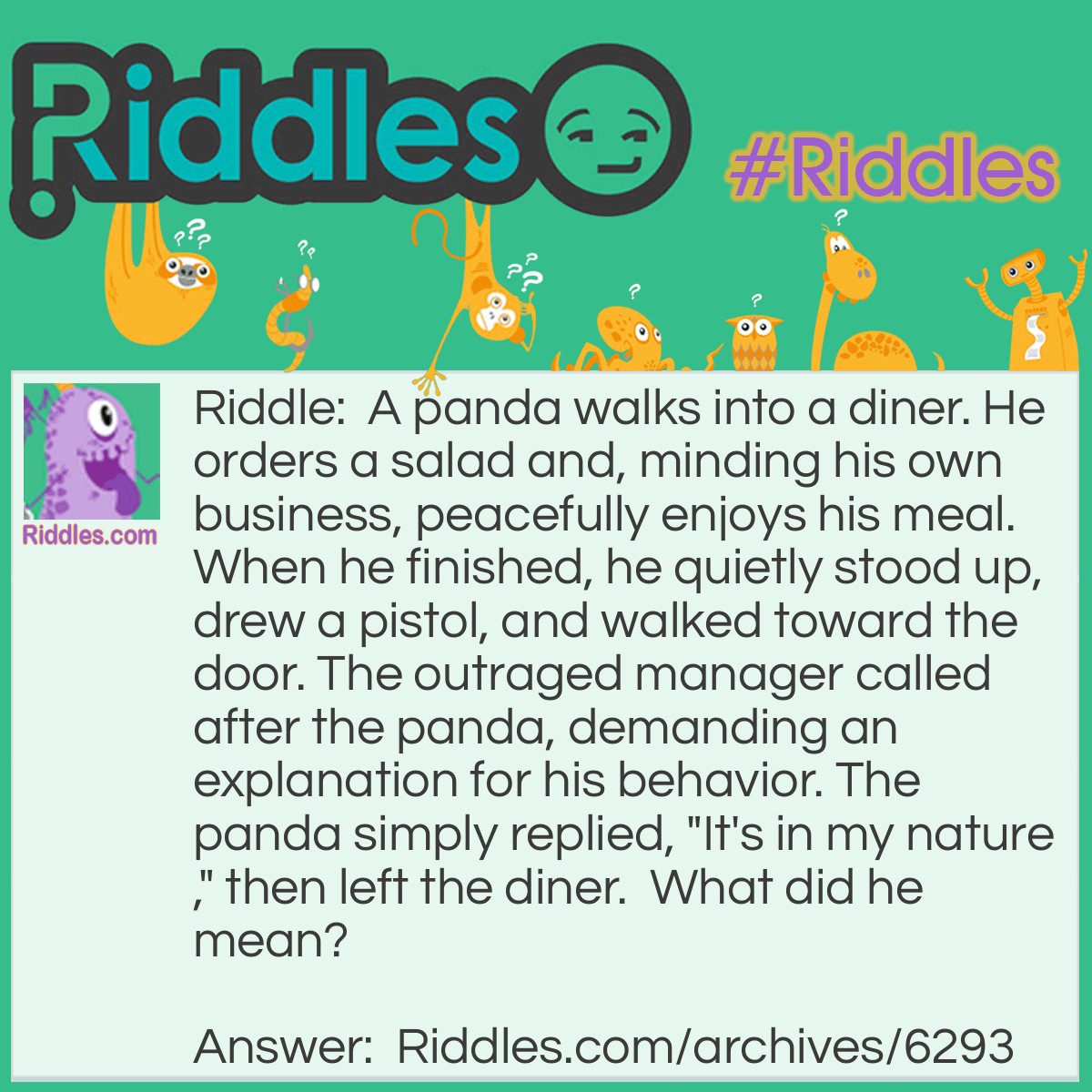 Panda Habits | Riddles.com