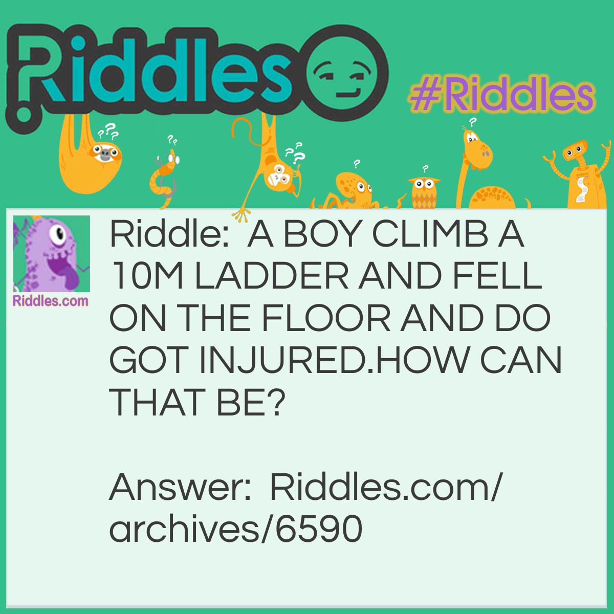 Someone Who Climb A Ladder About 10m | Riddles.com
