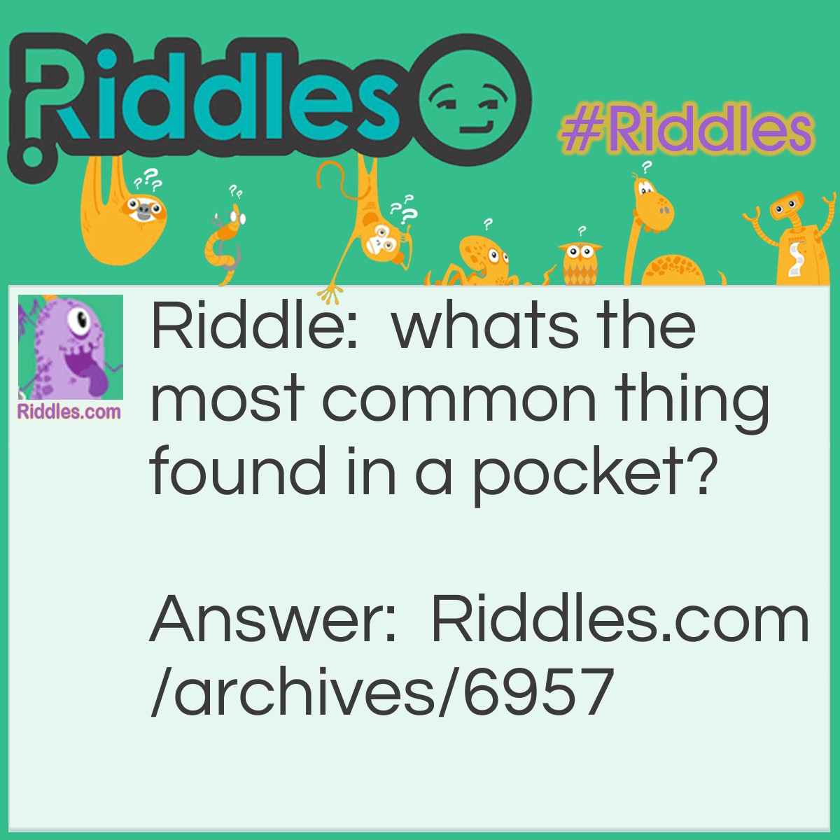 Pocket | Riddles.com