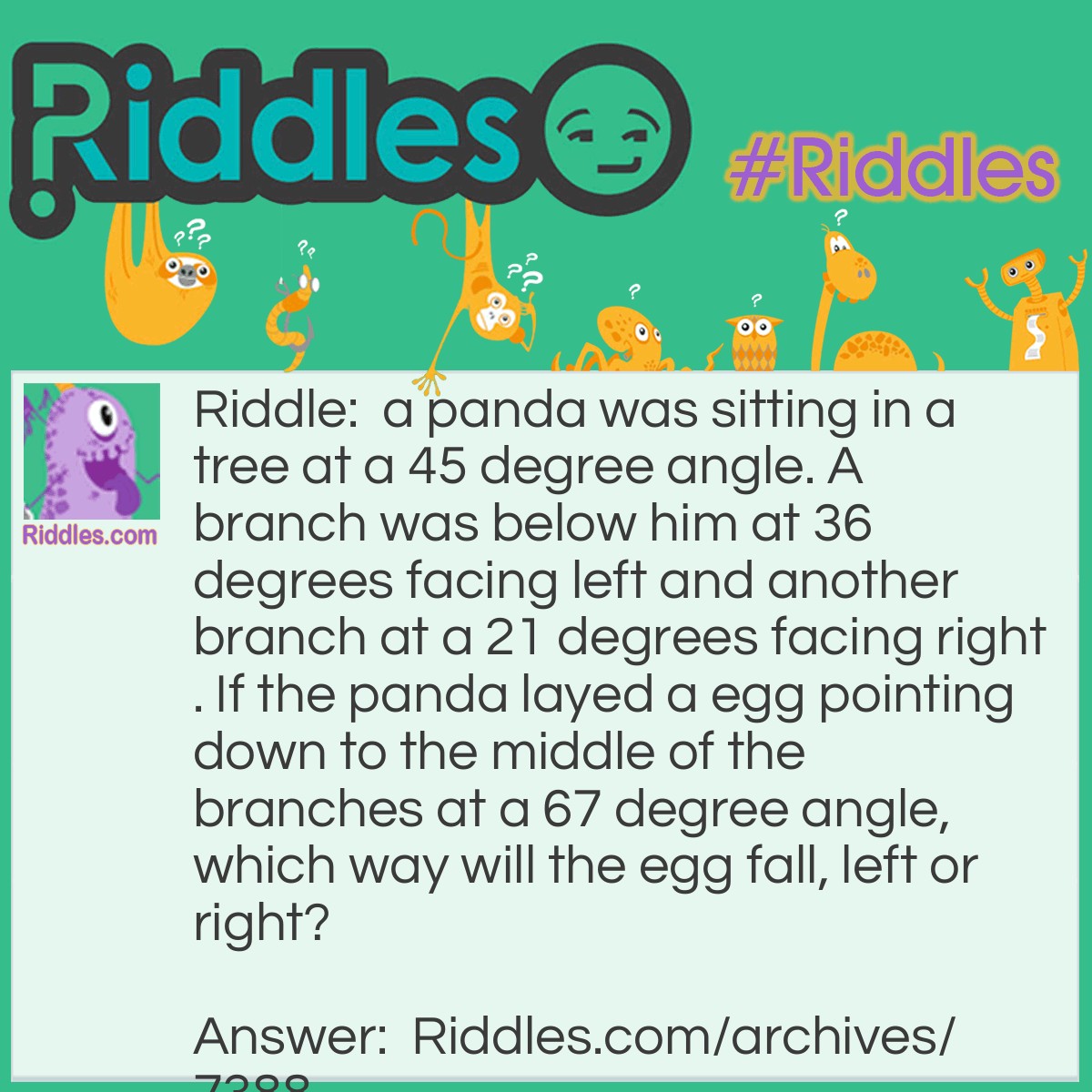 Panda - Riddles.com