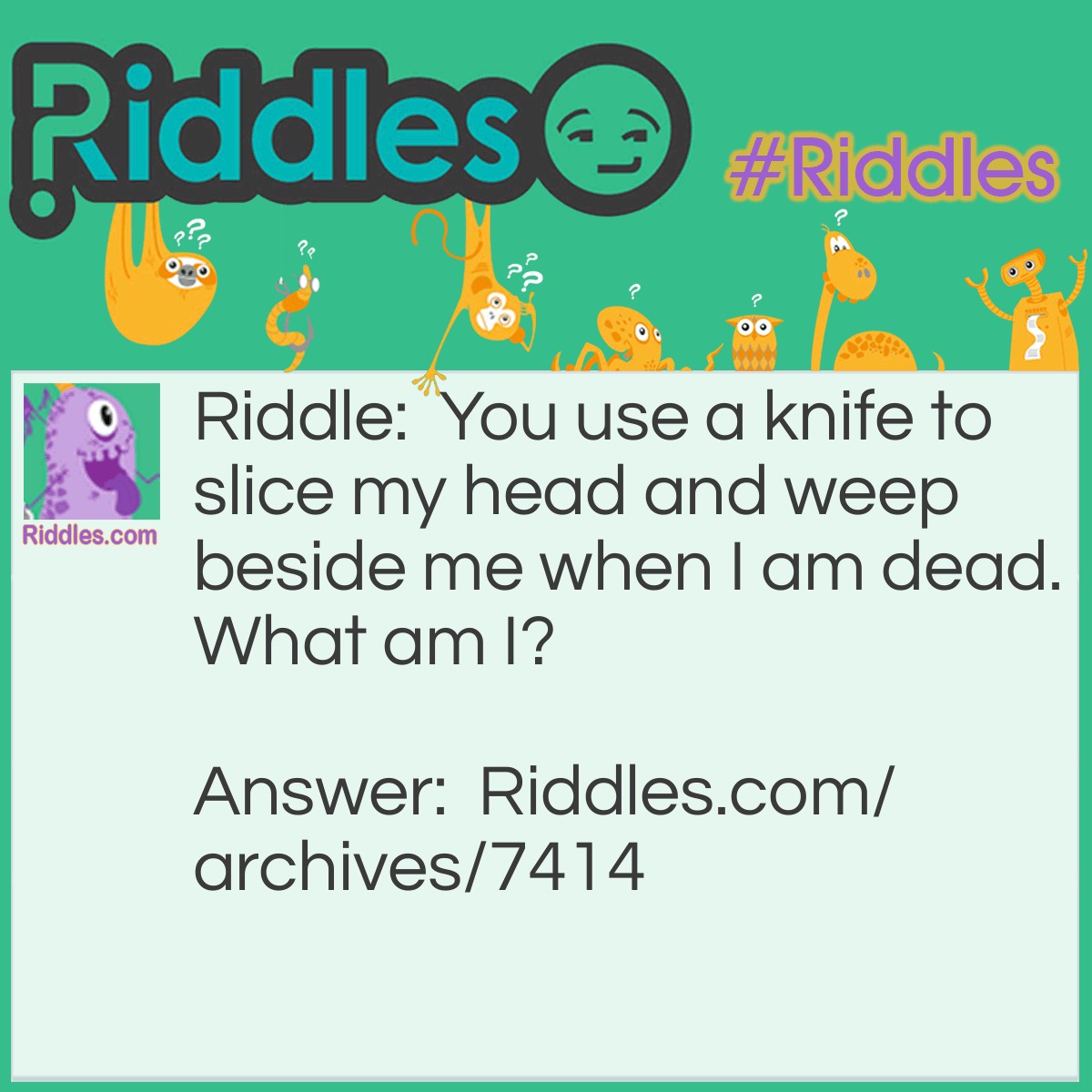 WeIrD | Riddles.com