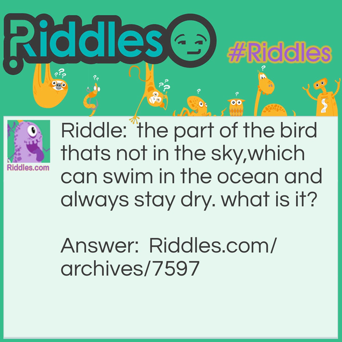 Birds!!!!! - Riddles.com