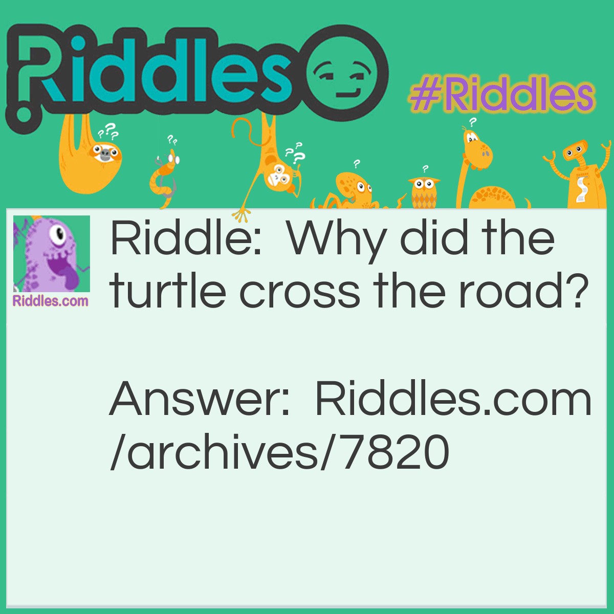 Turtles - Riddles.com