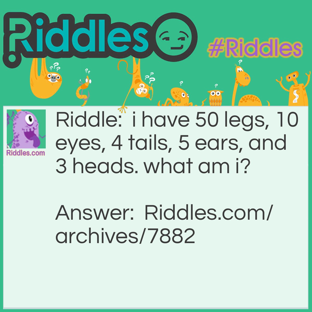 I Am - Riddles.com