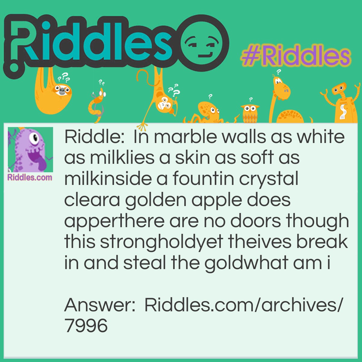 What Is It - Riddles.com