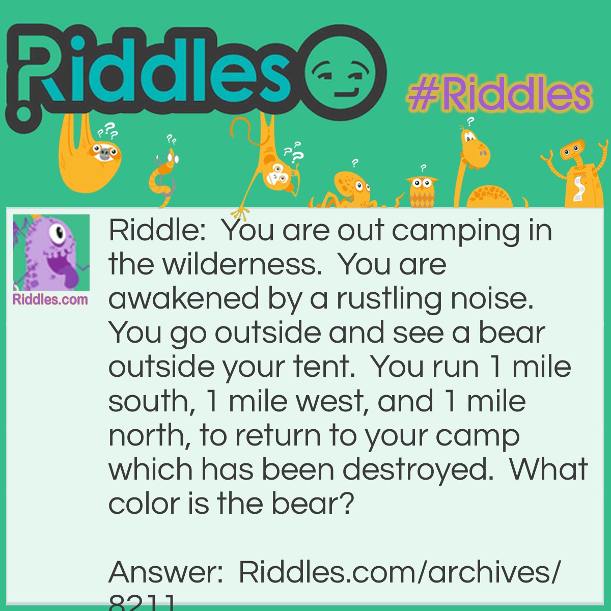 What Color Is The Bear? | Riddles.com
