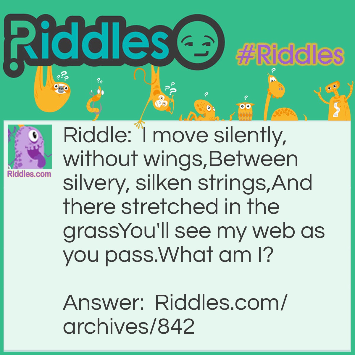 My Web - Riddles.com