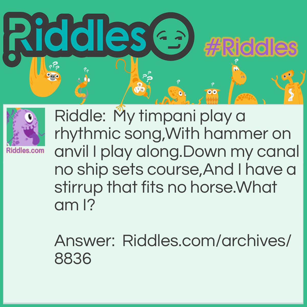 Sense Organ Of Body | Riddles.com