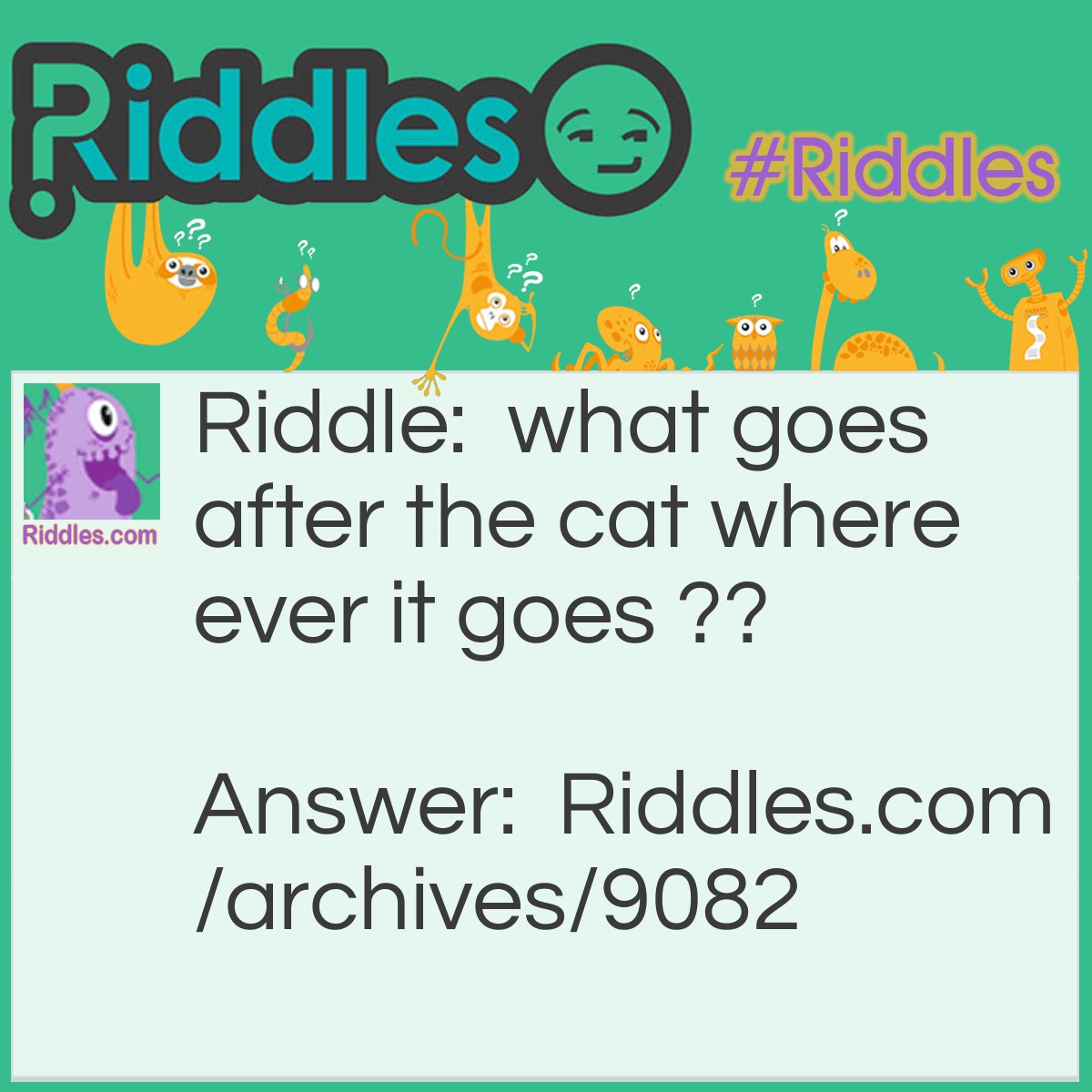 The Cat - Riddles.com