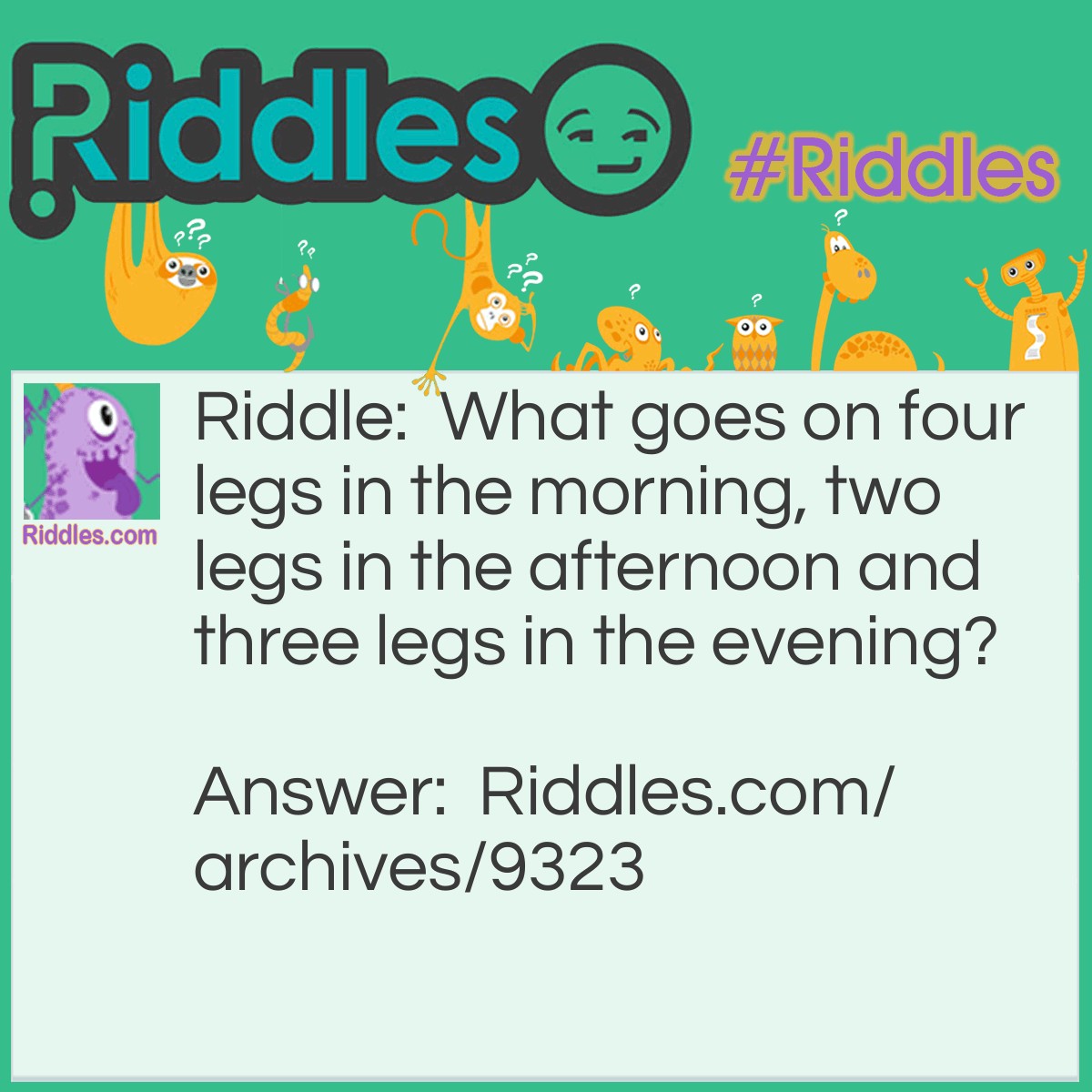 - Riddles.com