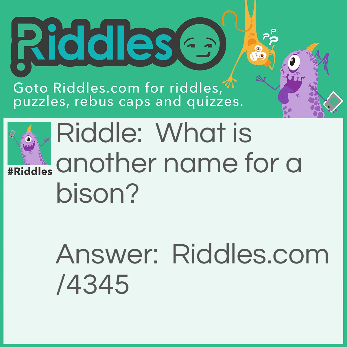 What Is Another Name For A Bison Riddles Answers Riddles